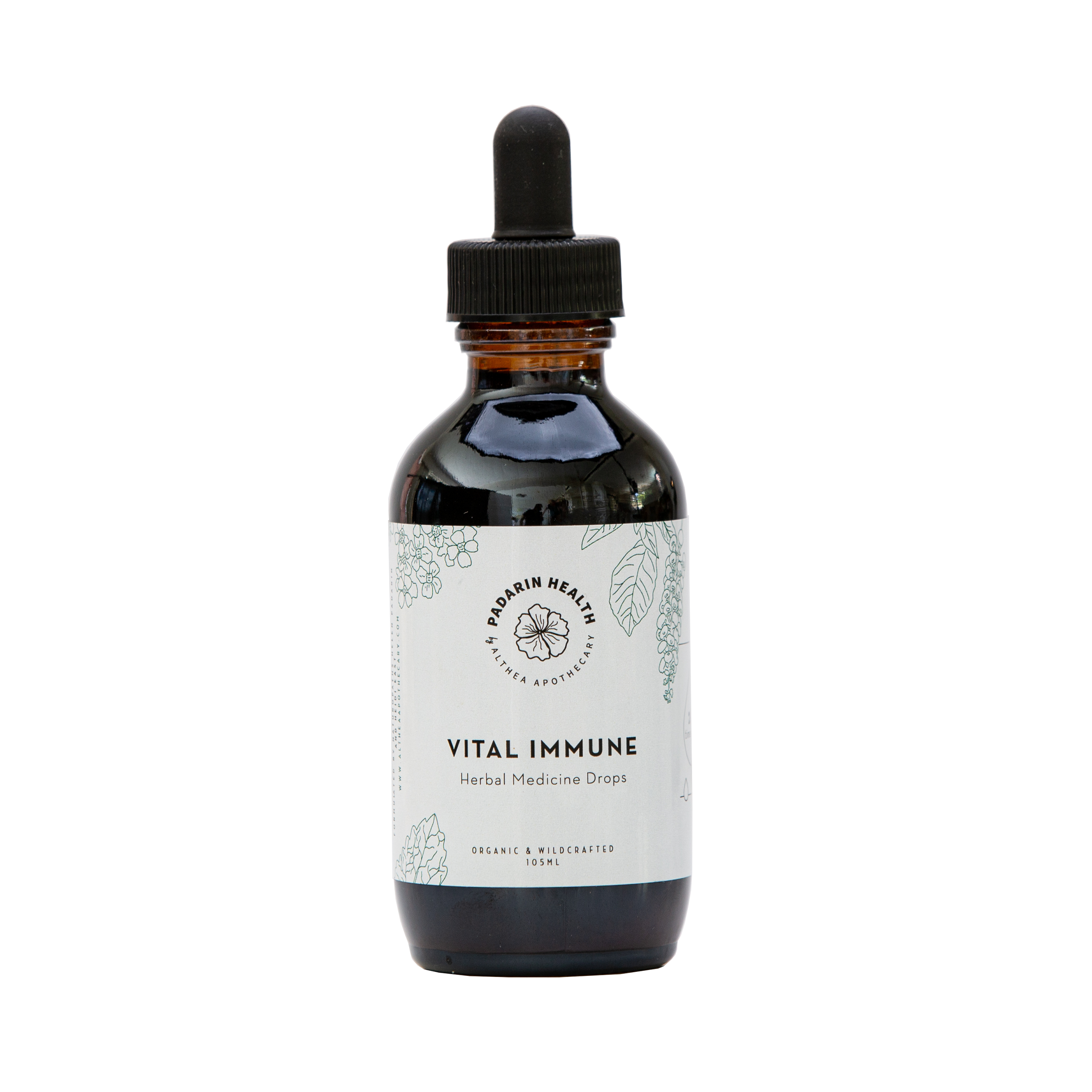 Vital Immune Drops – WELL EMBODIED